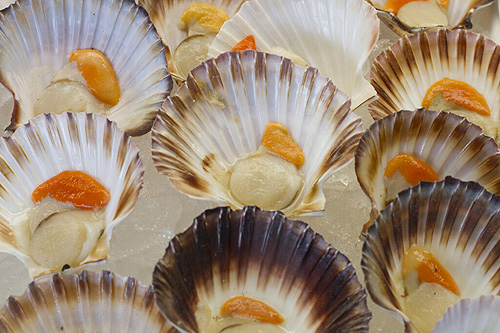 Fish & Fowl – Seafood – Poultry – Deli